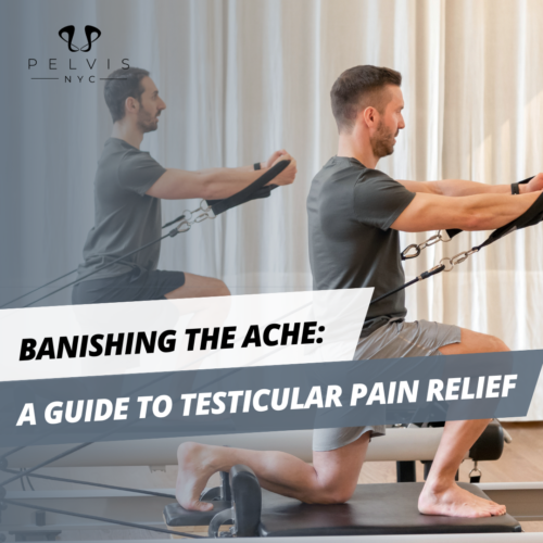 Testicular Discomfort More Than Just A Kick In The Groin Pelvis Nyc